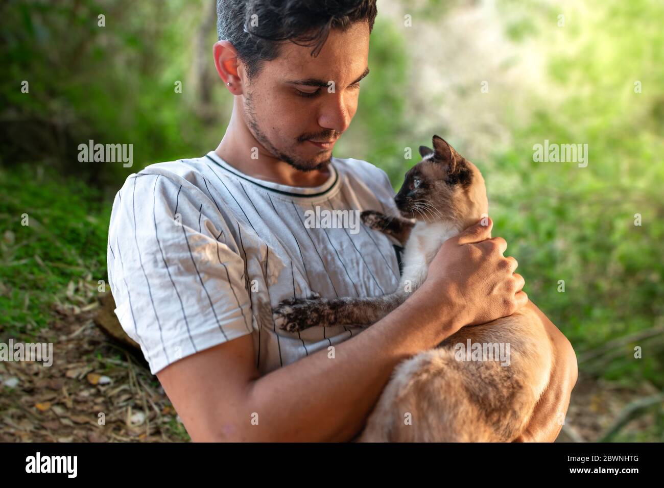 close up. young man hugs a siamese cat in a garden Stock Photo - Alamy