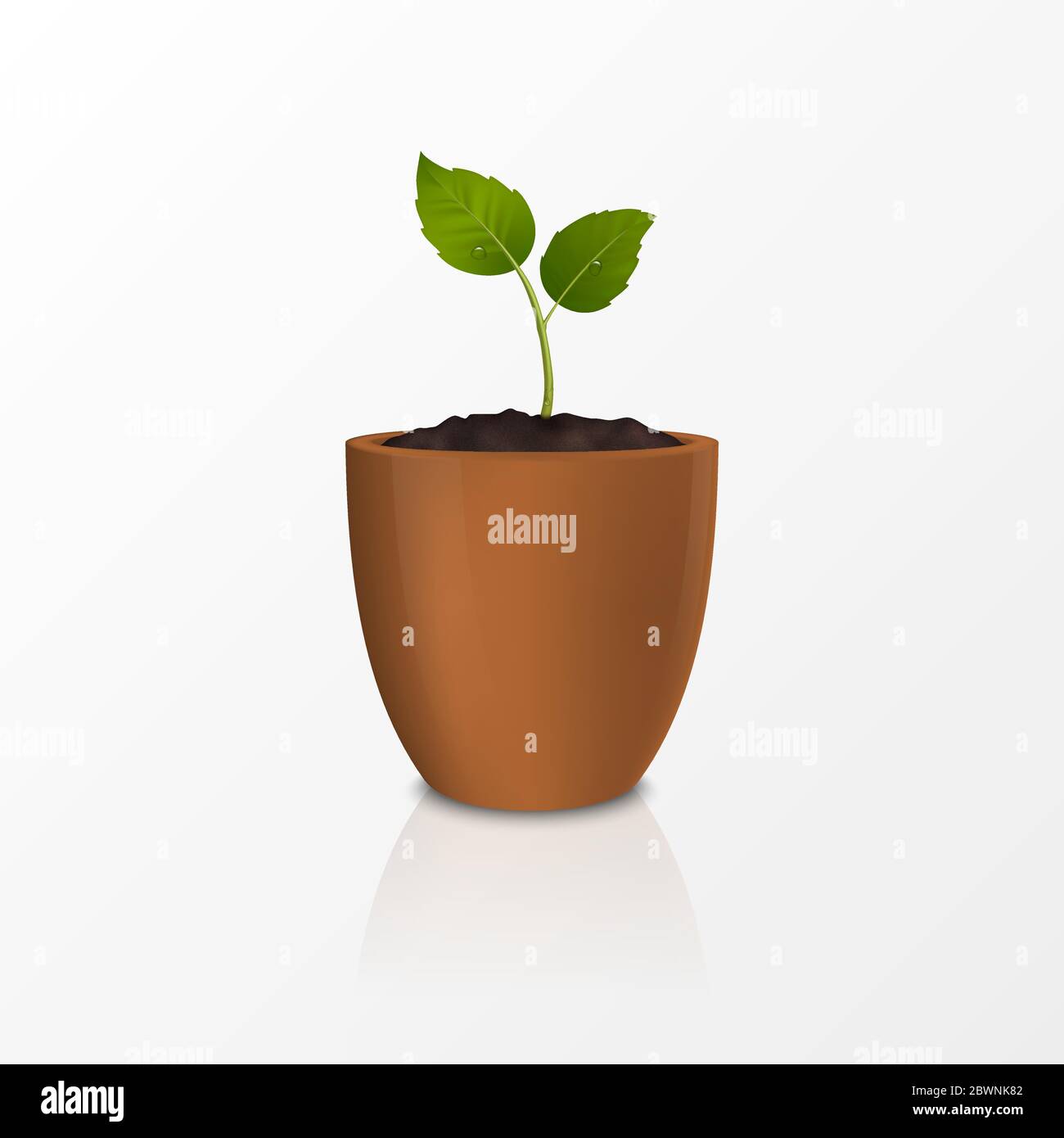 Vector growth concept. Design template of realistic icon of the sprout ...