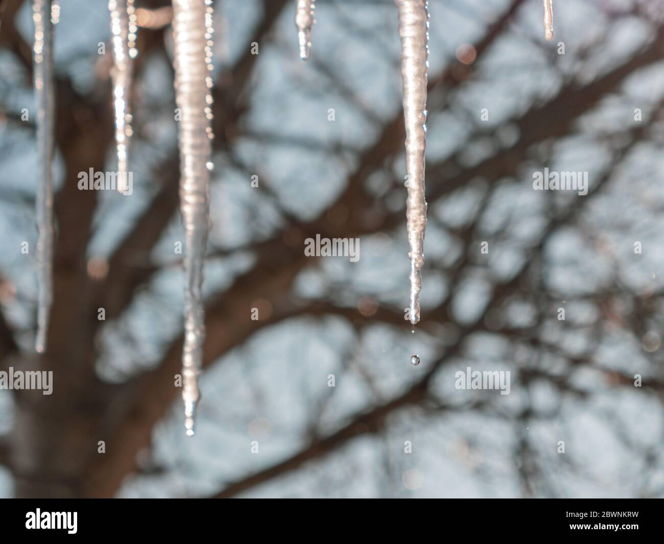 Ice from water dripping from hi-res stock photography and images - Alamy