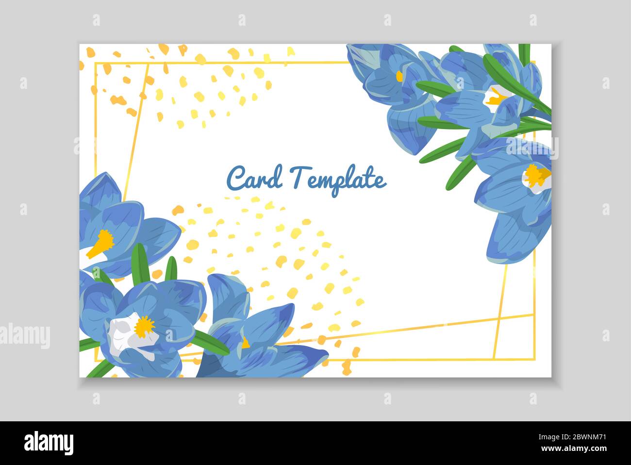 Rectangular card frame with hand drawn crocus flower arrangement ...