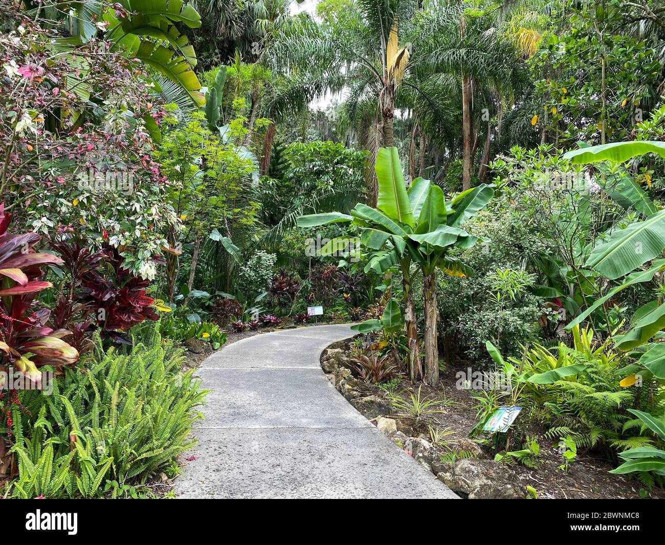 The sidewalk through a garden at a botanical garden in Florida Stock ...