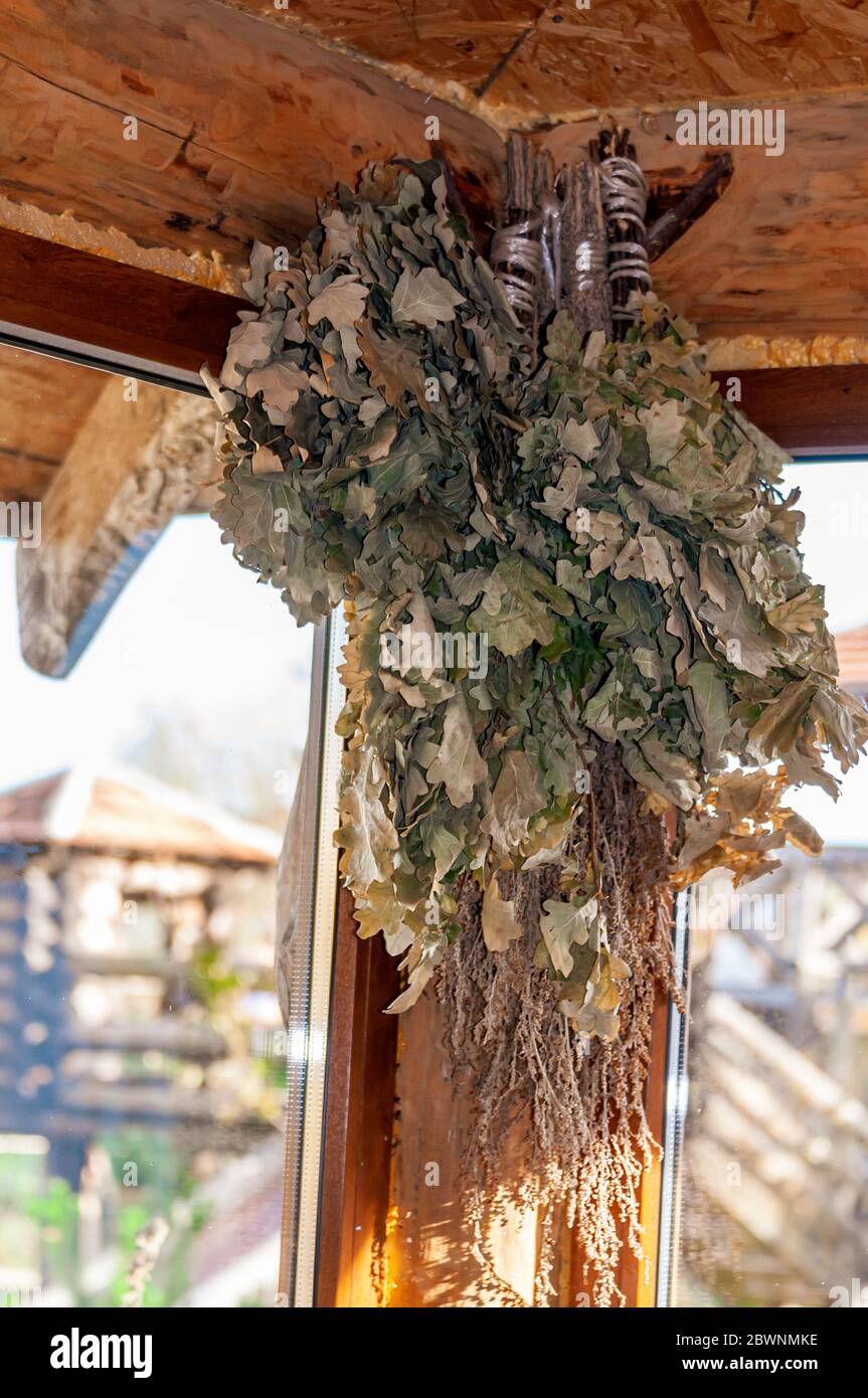 Dry oak twigs for a bath under the ceiling window Stock Photo - Alamy