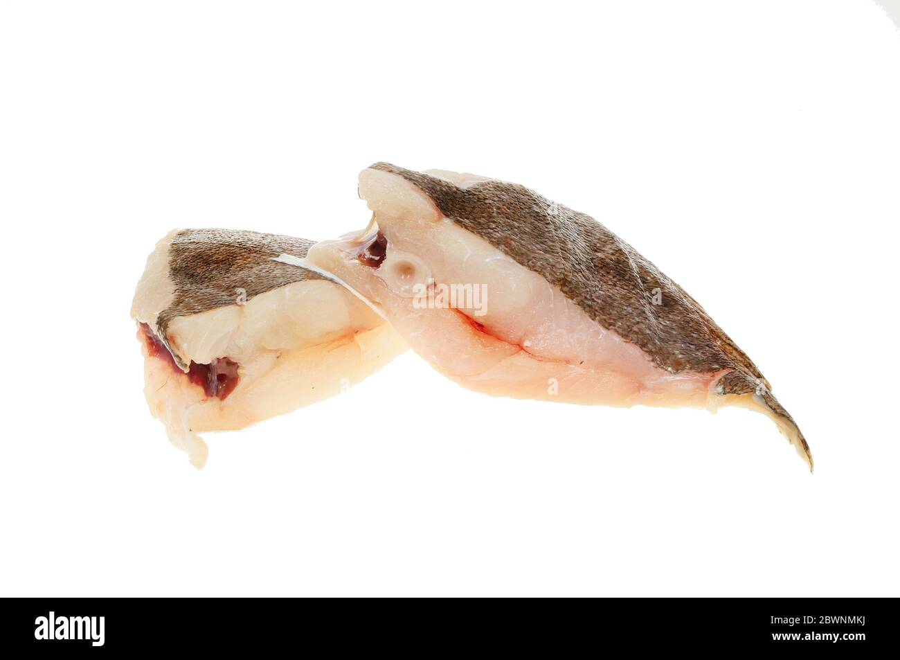 Brill Fish High Resolution Stock Photography and Images - Alamy