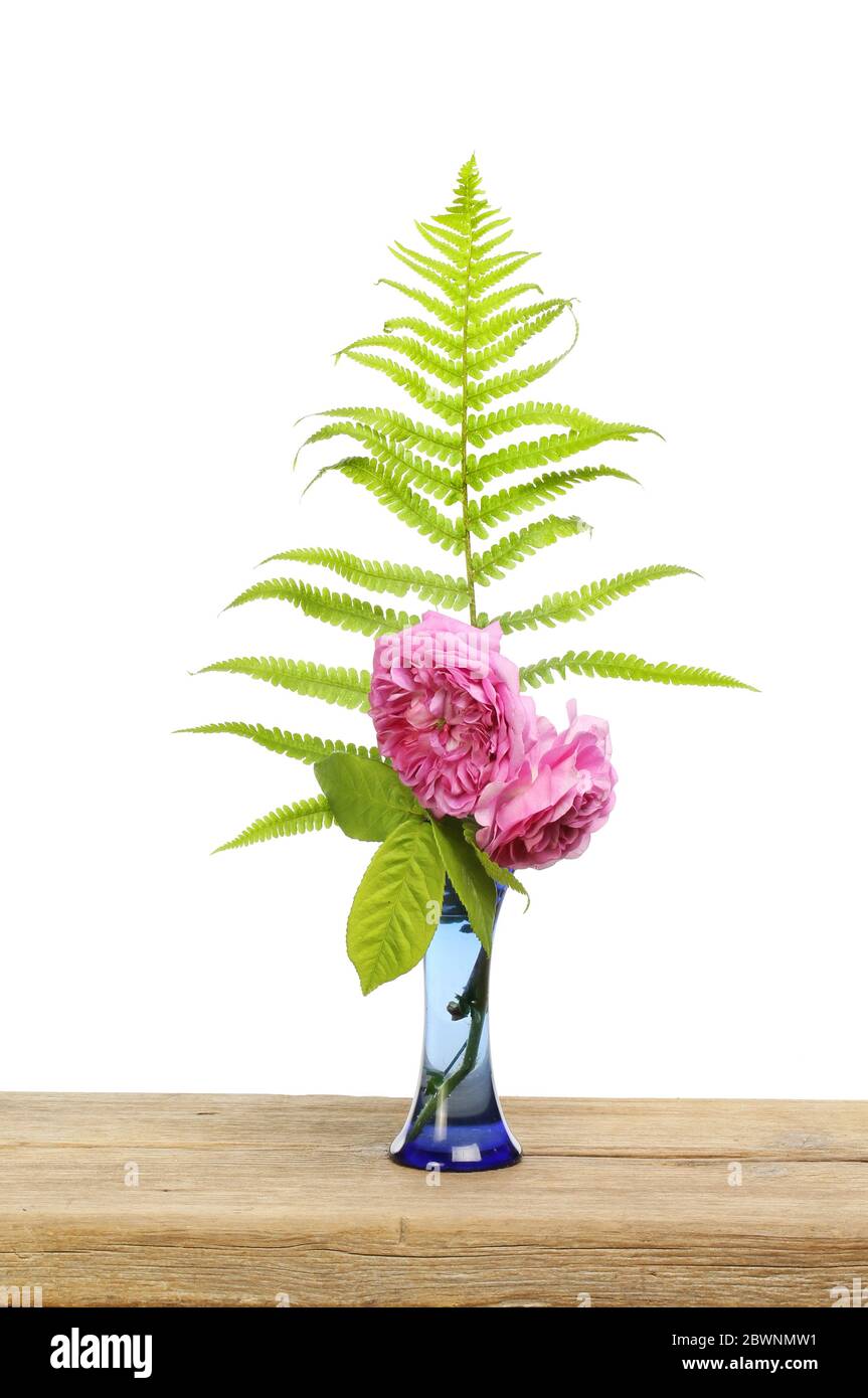 Arrangement of pink rose flowers and a fern frond in a vase on rustic ...