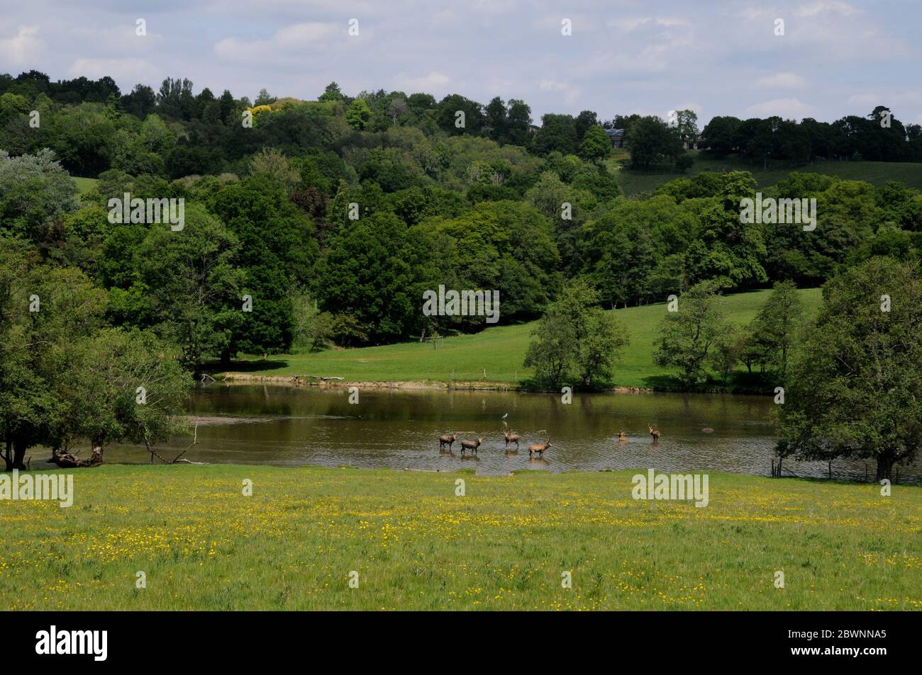 Wadhurst hi-res stock photography and images - Alamy