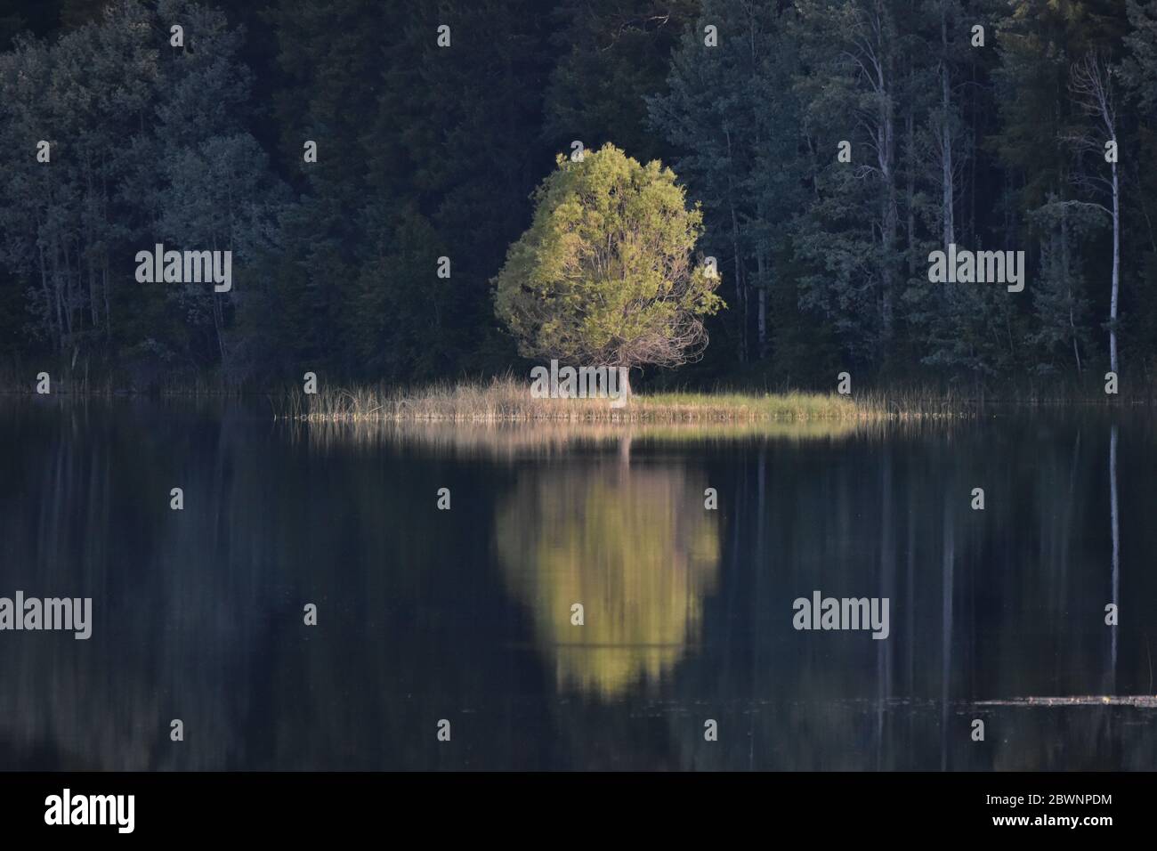 Clearwater lake hi-res stock photography and images - Alamy