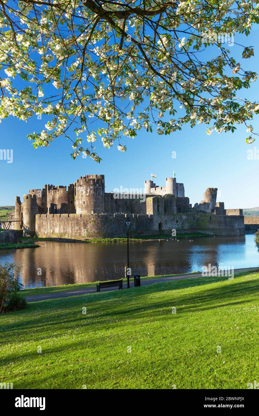 Caerphilly castle wales spring hi-res stock photography and images - Alamy