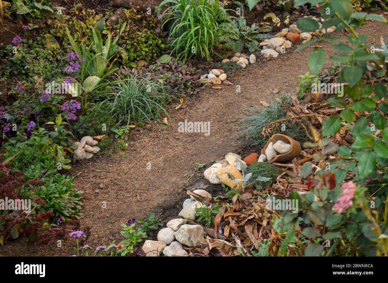 Natur fall garden growing. Autumn garden background with various ...