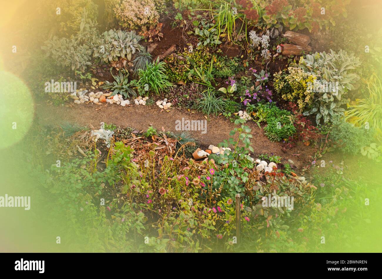 Trail road near flowers in autumn garden. Colourful autumn flowerbeds ...