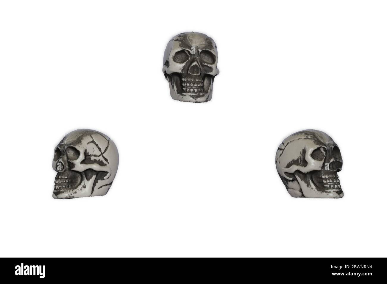 3 skulls on a white background look in different directions Stock Photo ...
