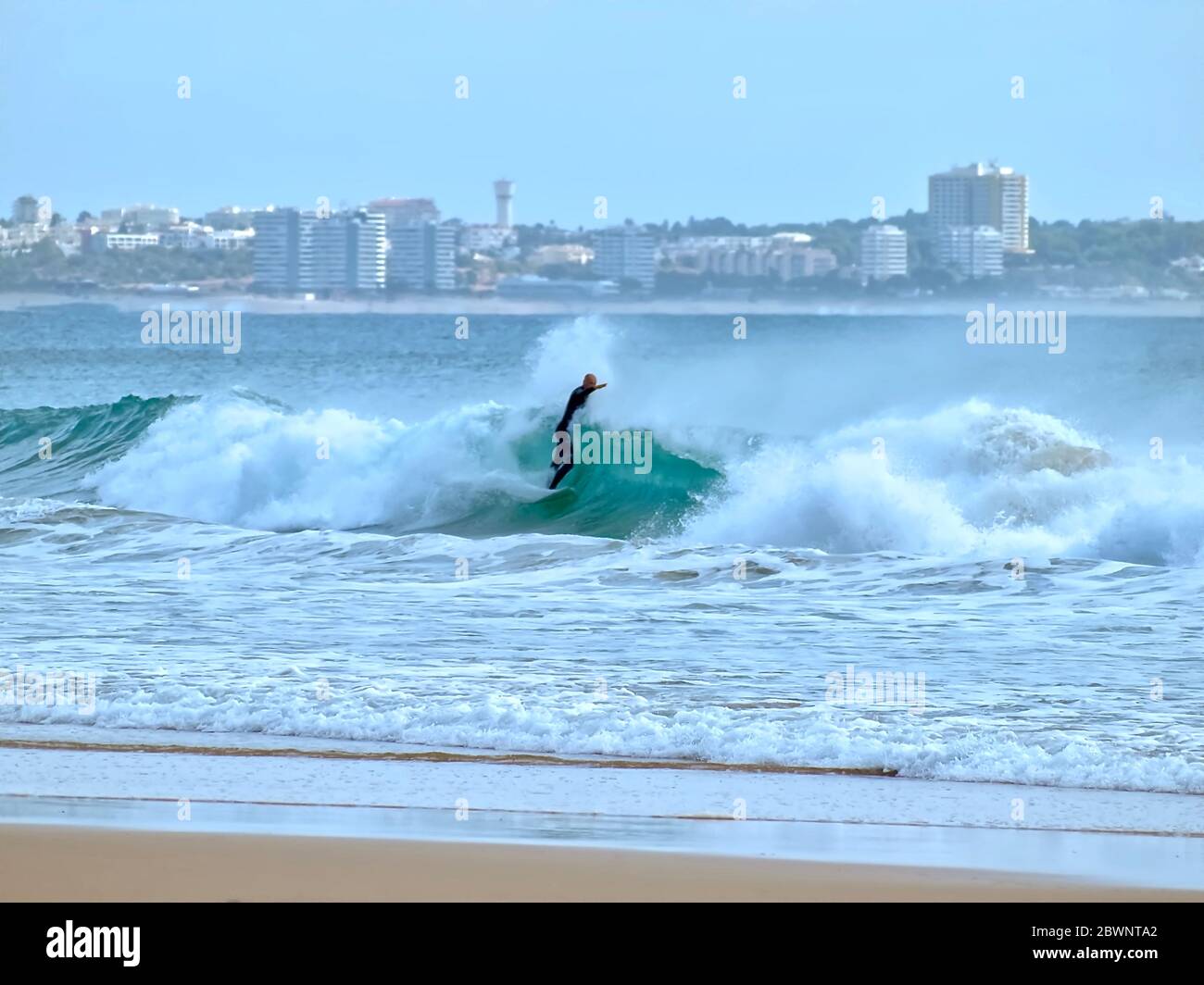 Surfer pose hi-res stock photography and images - Alamy