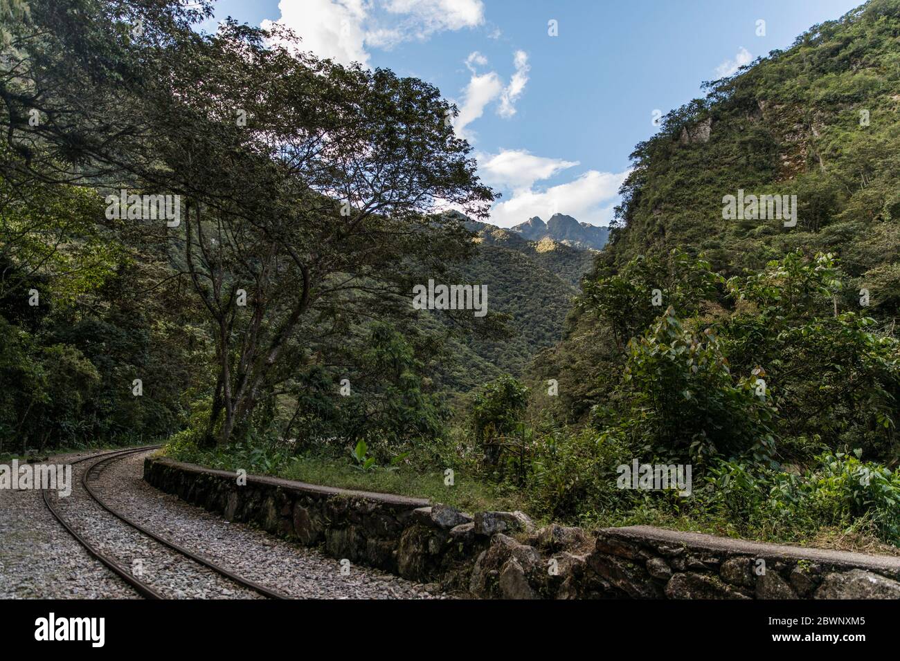 outdoor road in the middle of the forest with train rails Stock Photo ...