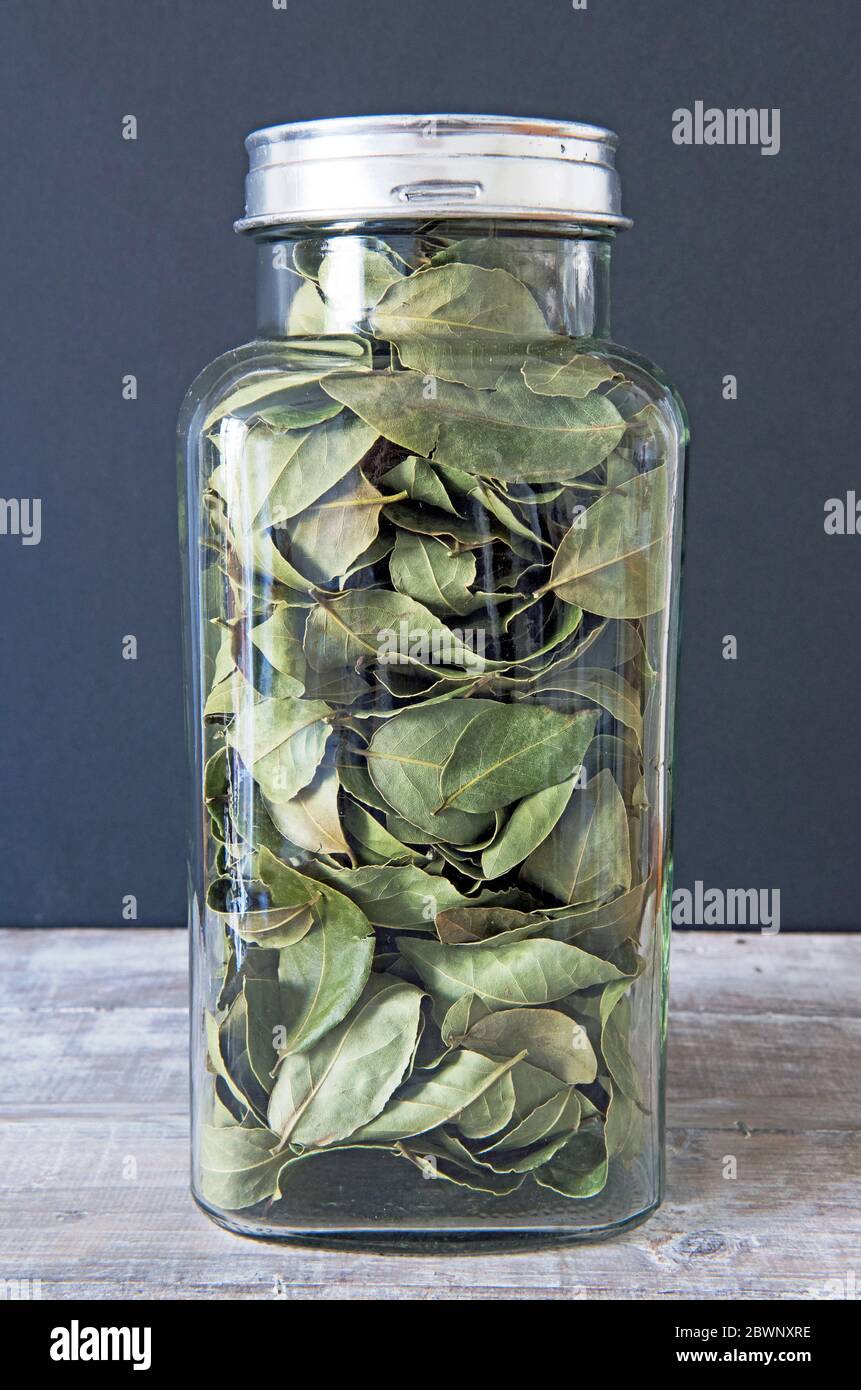 Bay leaves in tall recycled vintage sweet jar with silver lid on wooden ...