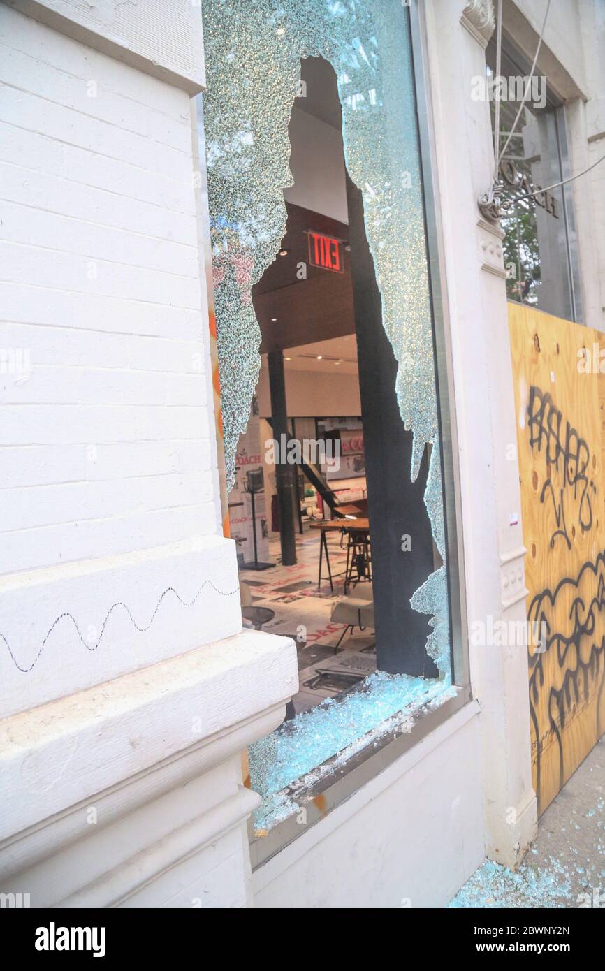 Ransacked Apartment Bones