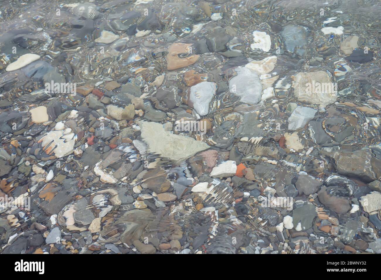 Colorful pebbles or stone in water with difference color Stock Photo ...
