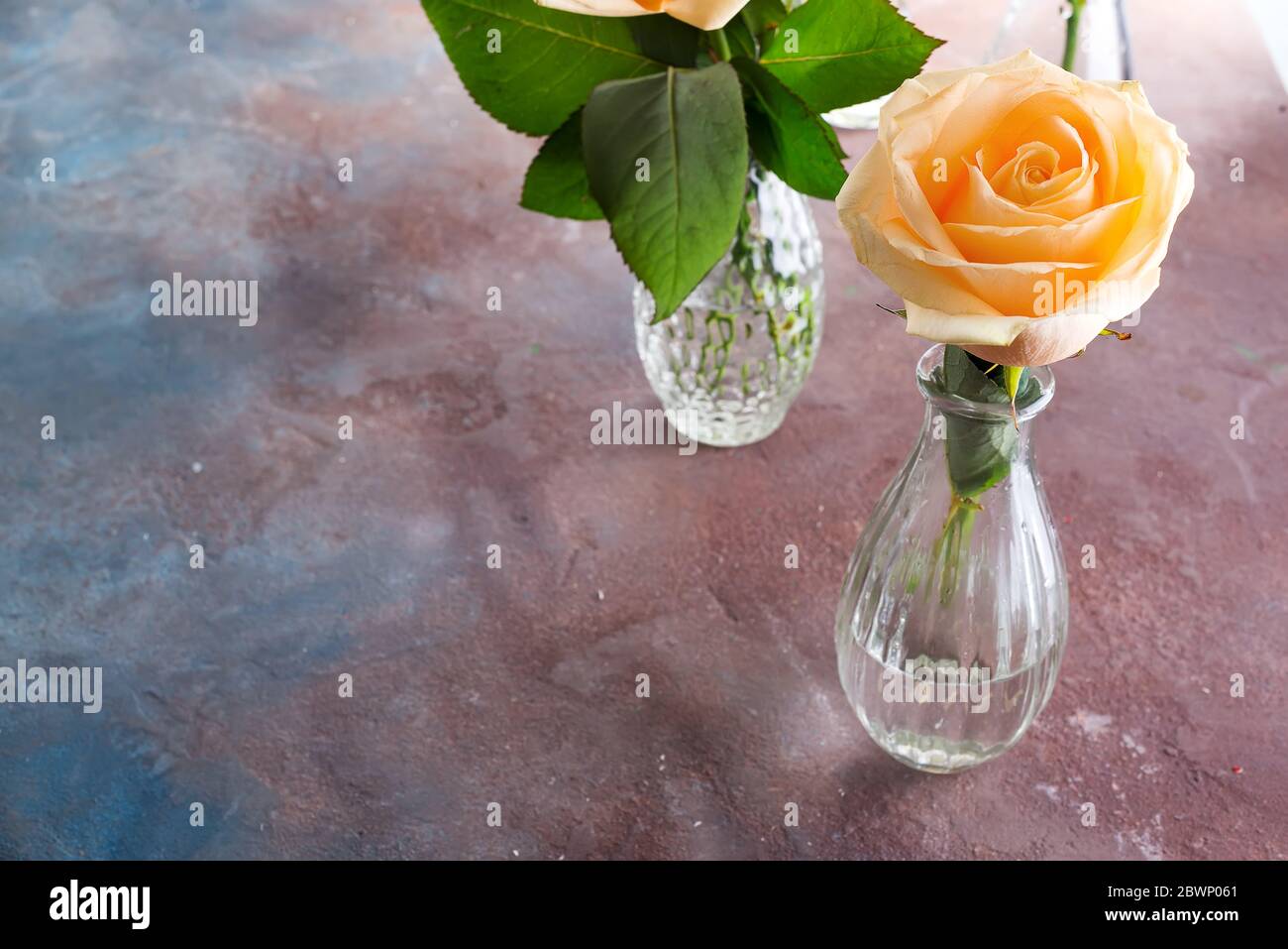 Beautiful fresh cut beige Roses in glass vase on stone background ...