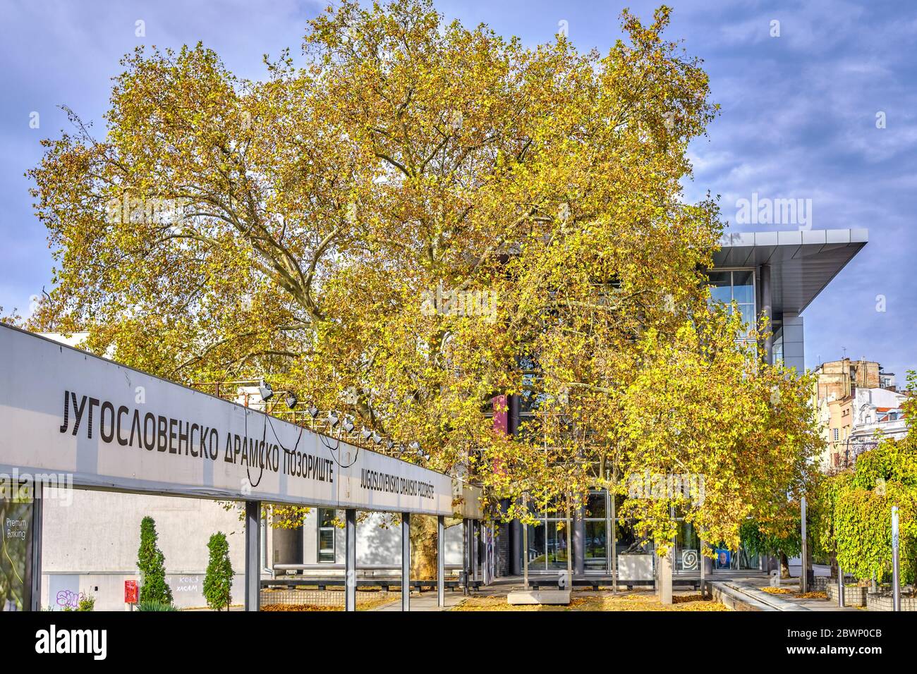 Jugoslovensko Dramsko Pozoriste