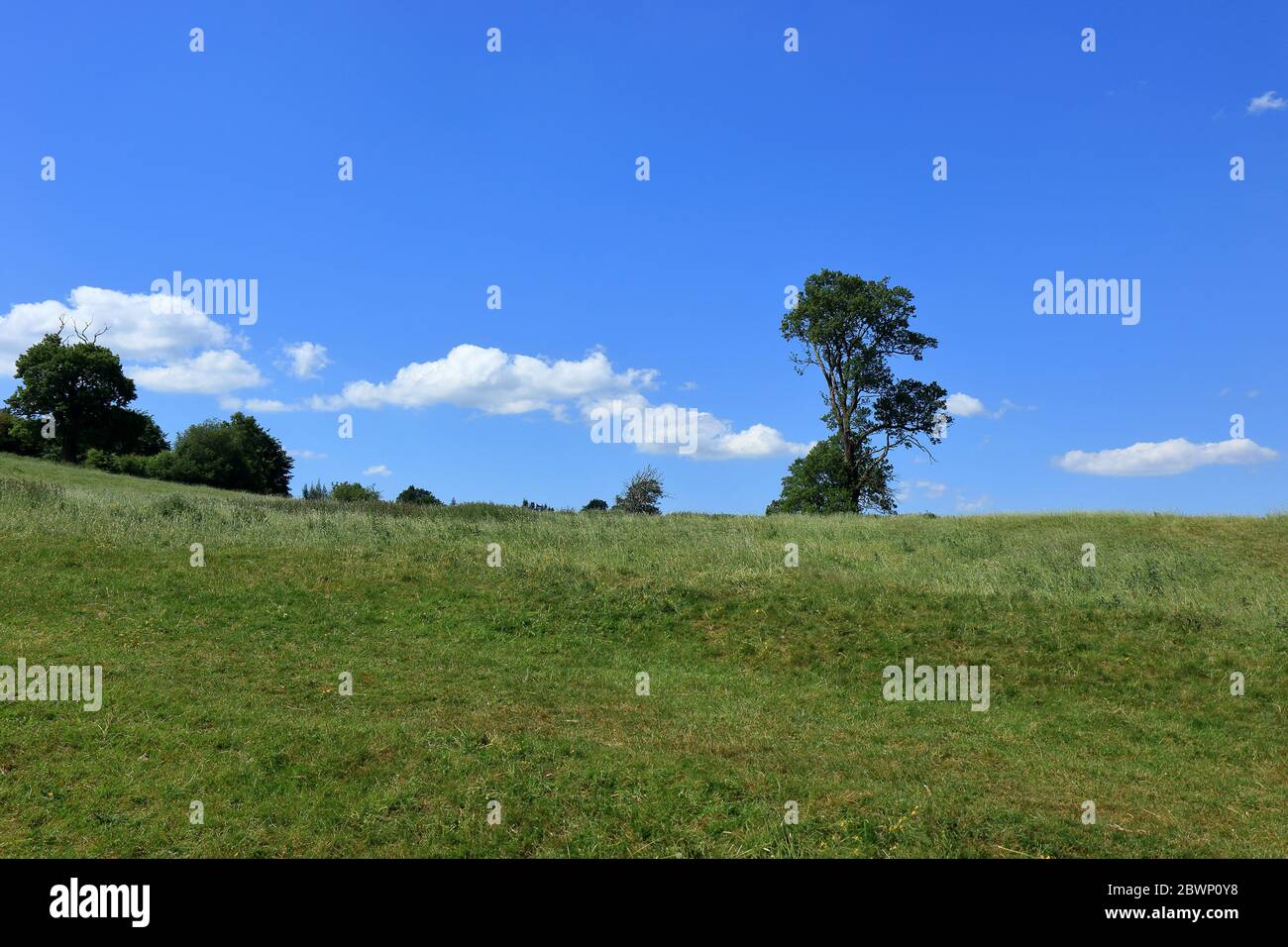 Trees and green fields in the beautiful Westerham countryside Stock ...