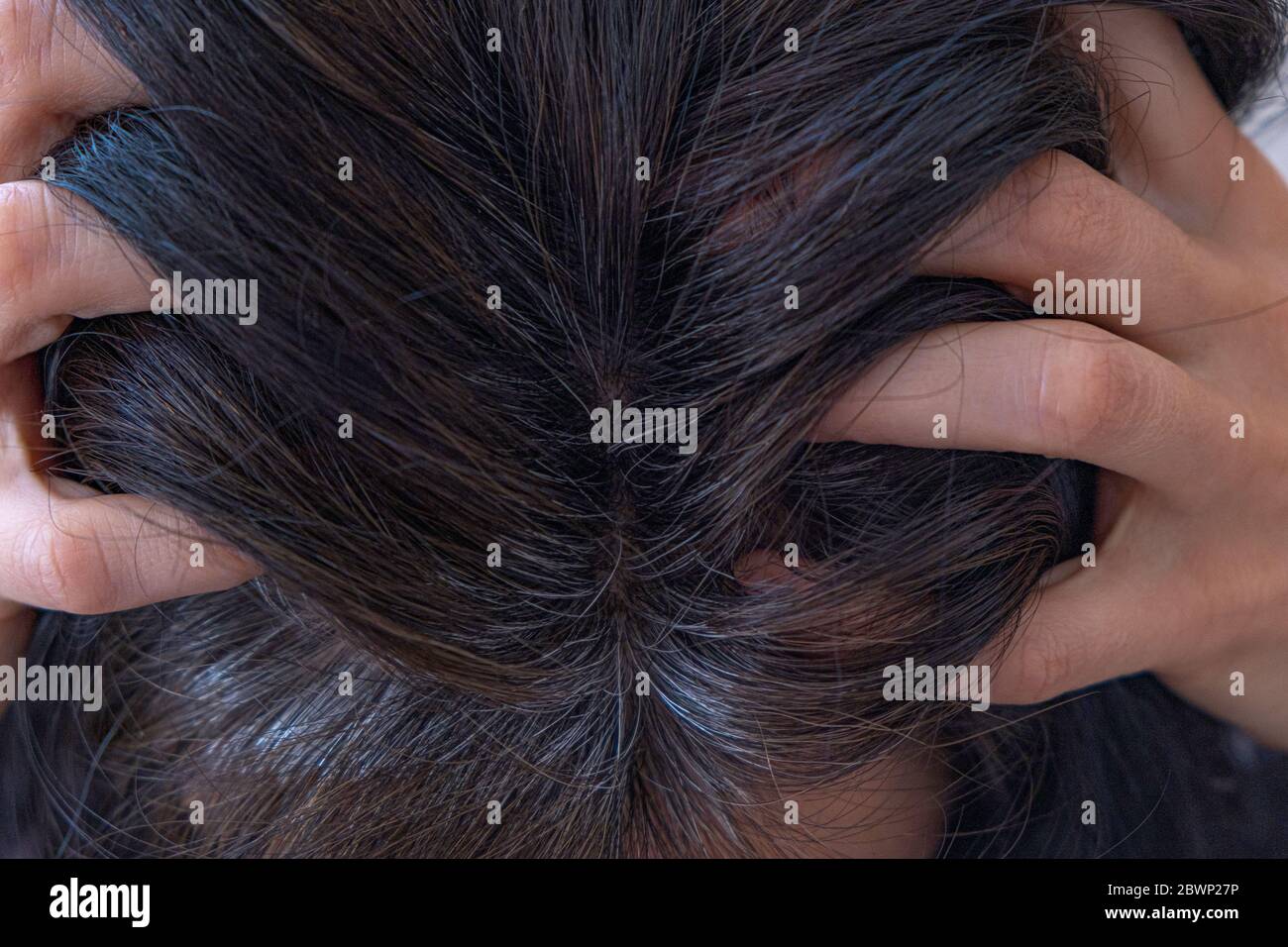 Strain of hair hi-res stock photography and images - Alamy
