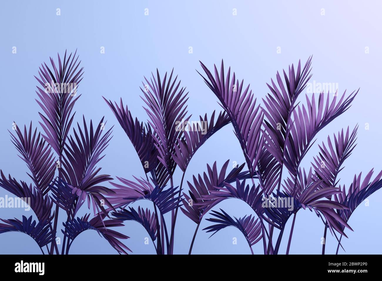 Palm leafs on blue background 3D illustration Stock Photo - Alamy