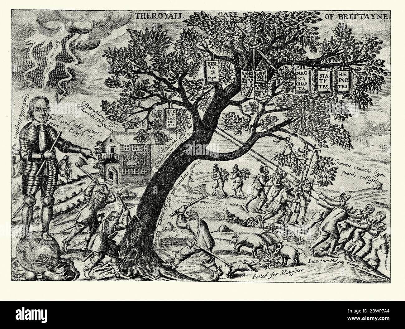 Oliver Cromwell cutting down the Royal oak tree of Britain, 17th ...