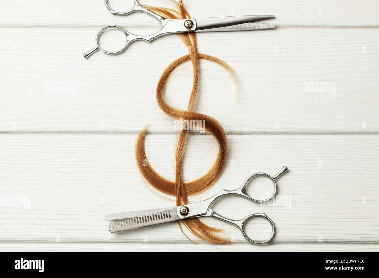 Dollar sign made of curl hair. Expensive hairstyle or hairdresser ...