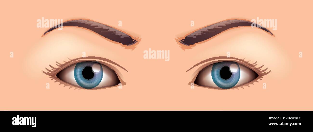 Human close up eyes area illustration Stock Vector Image & Art - Alamy