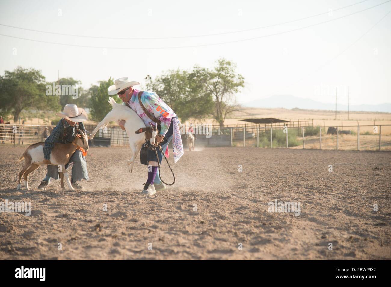 Roughstock hi-res stock photography and images - Alamy