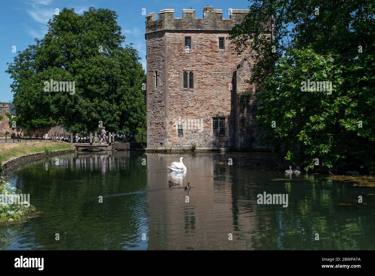Bishops palace of wells cathedral hi-res stock photography and images ...
