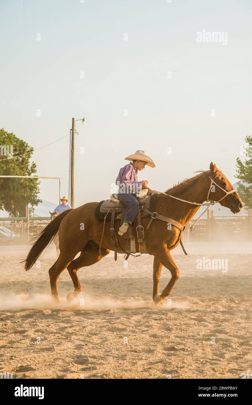 Old rodeo cowboys hi-res stock photography and images - Alamy
