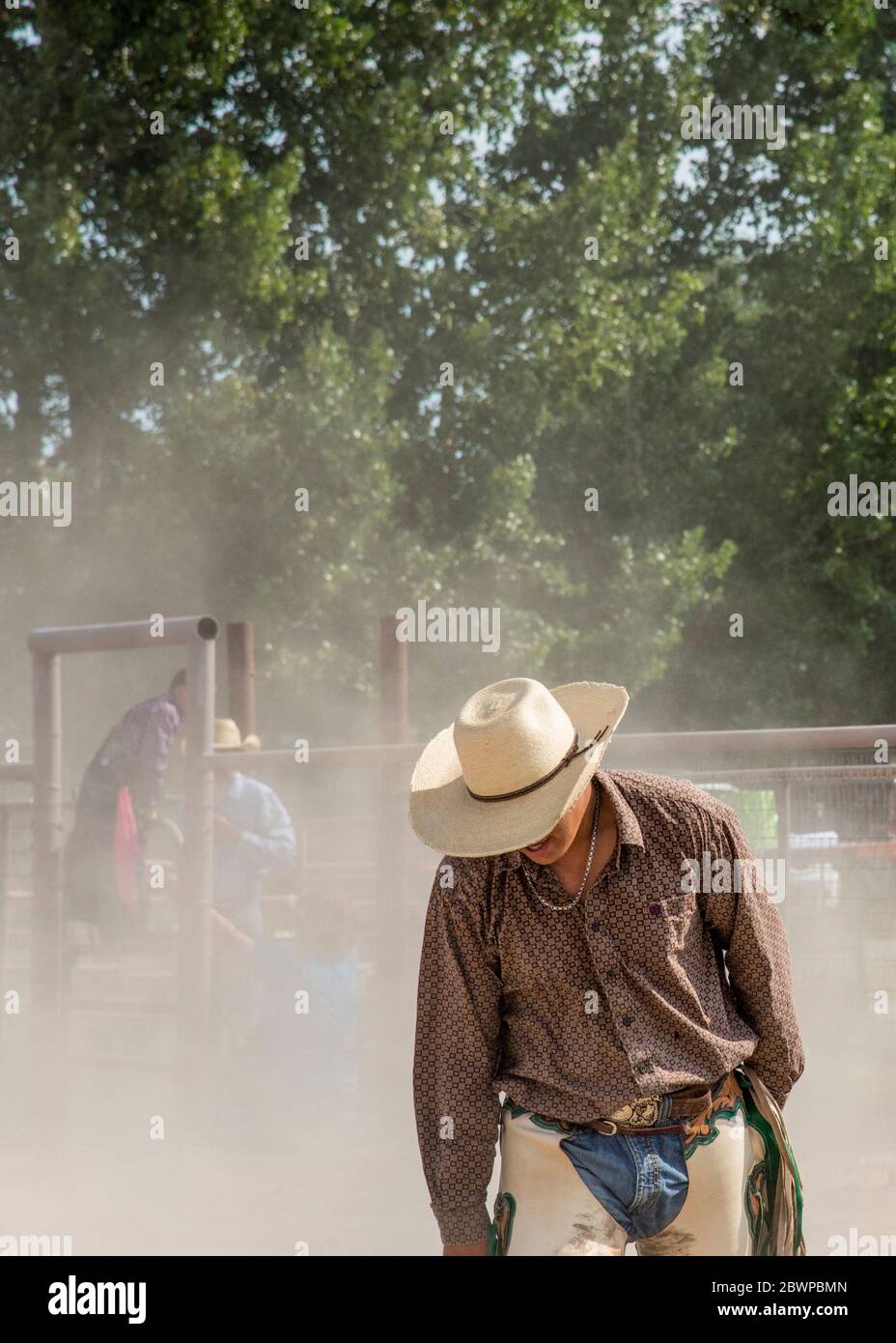 Old rodeo cowboys hi-res stock photography and images - Alamy