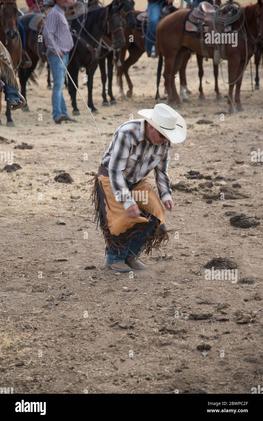 Team roping competition hi-res stock photography and images - Alamy