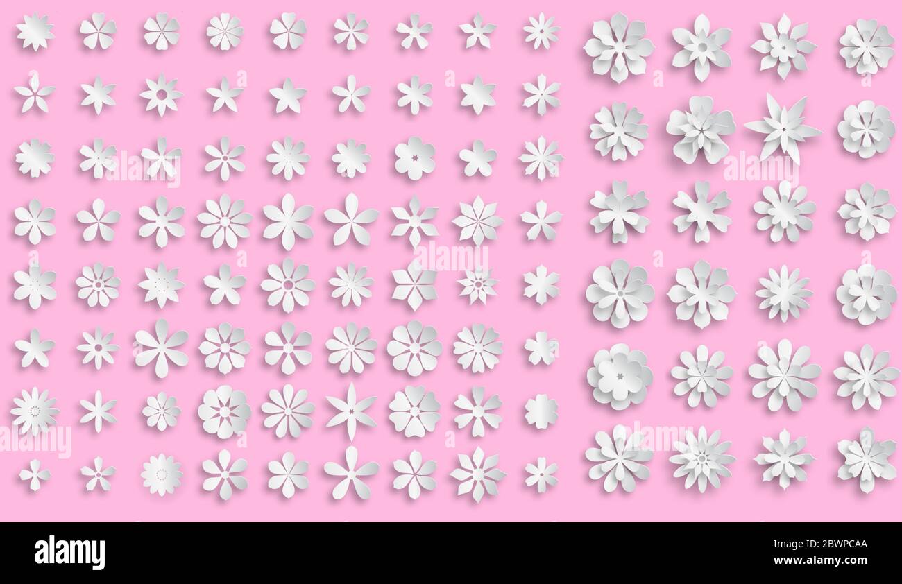 Set of white volume paper flowers with soft shadows on pink background ...