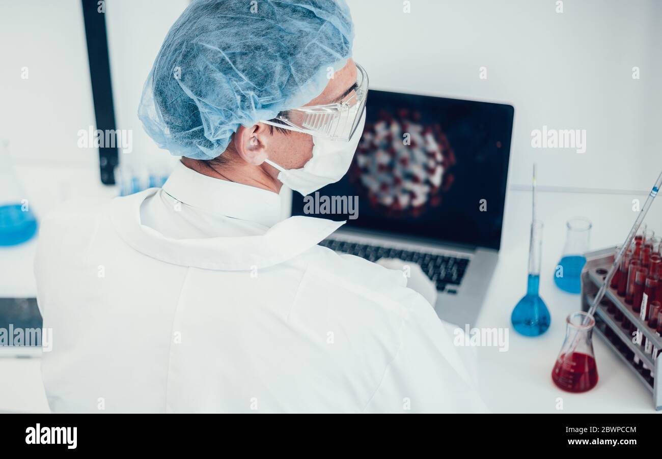 rear view. scientist sitting at a Desk in the laboratory Stock Photo ...