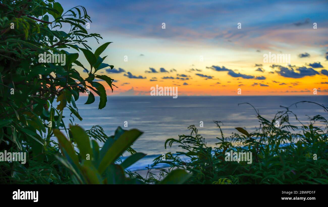 Beautiful view beach behind trees hi-res stock photography and images ...