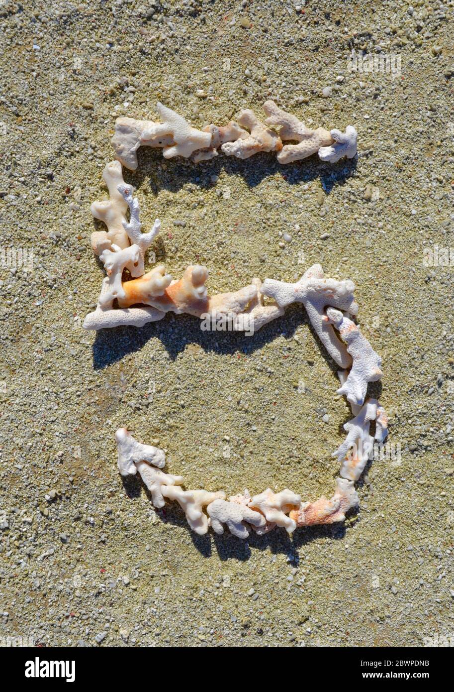 Dead coral hi-res stock photography and images - Alamy