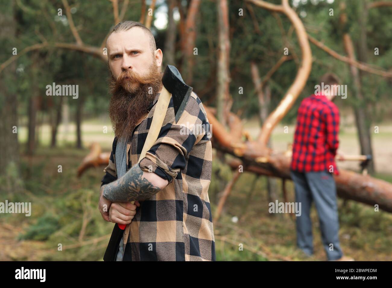 Man portrait logging axe hi-res stock photography and images - Alamy