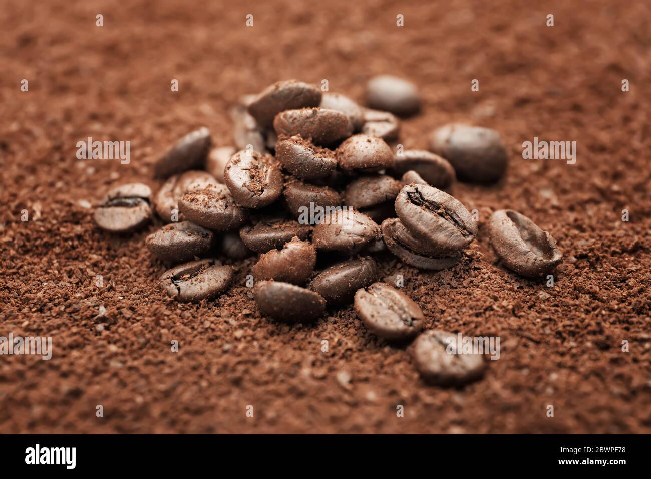 Roasted coffee beans on powder Stock Photo - Alamy
