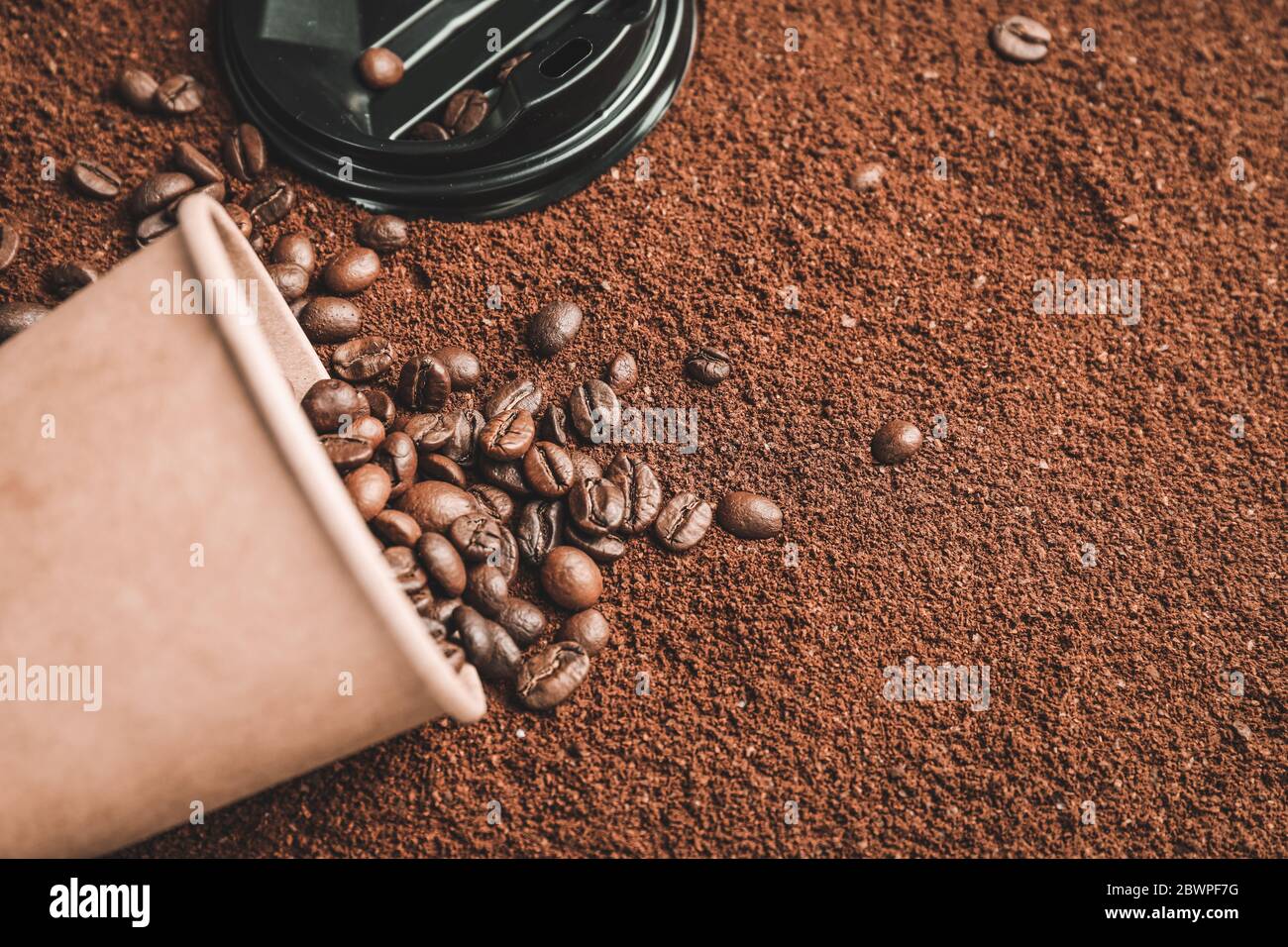 Cup and scattered coffee beans on powder Stock Photo - Alamy