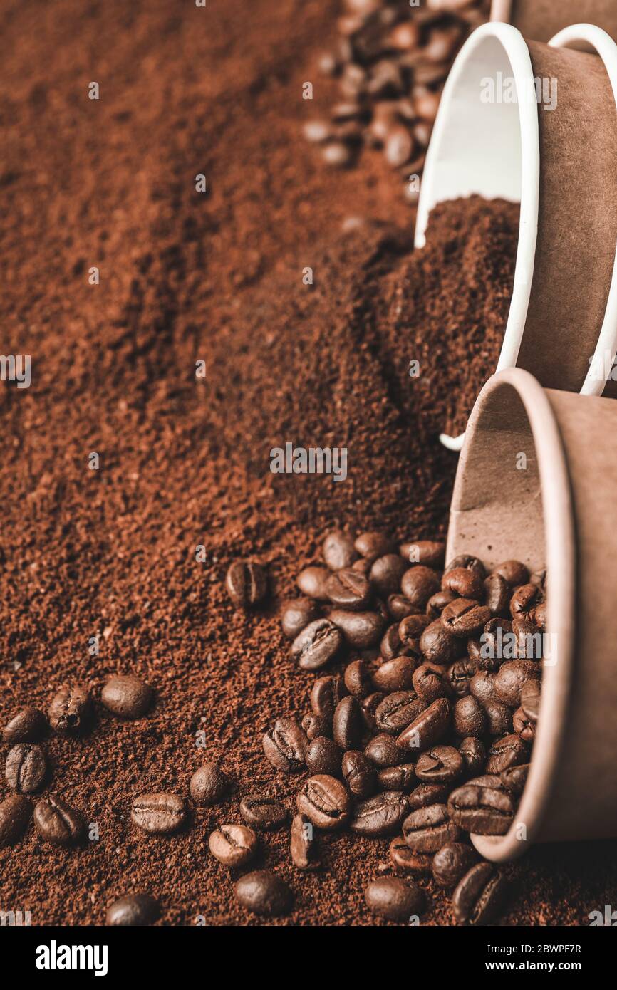 Paper cups and coffee beans on powder Stock Photo - Alamy