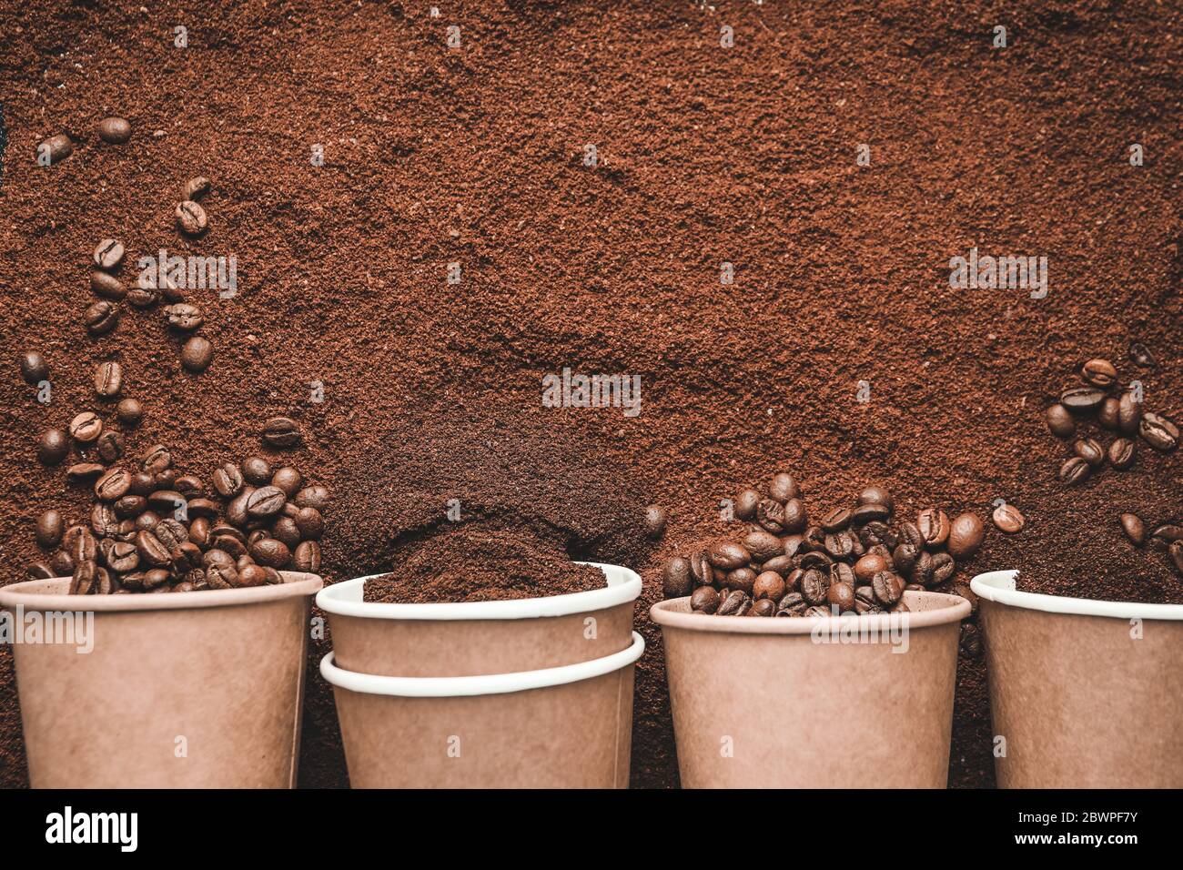 Paper cups and coffee beans on powder Stock Photo - Alamy