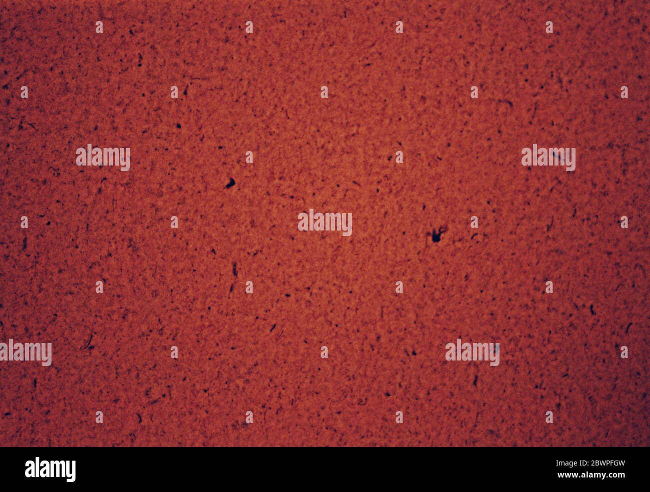 red texture background for graphic design. High quality photo Stock ...