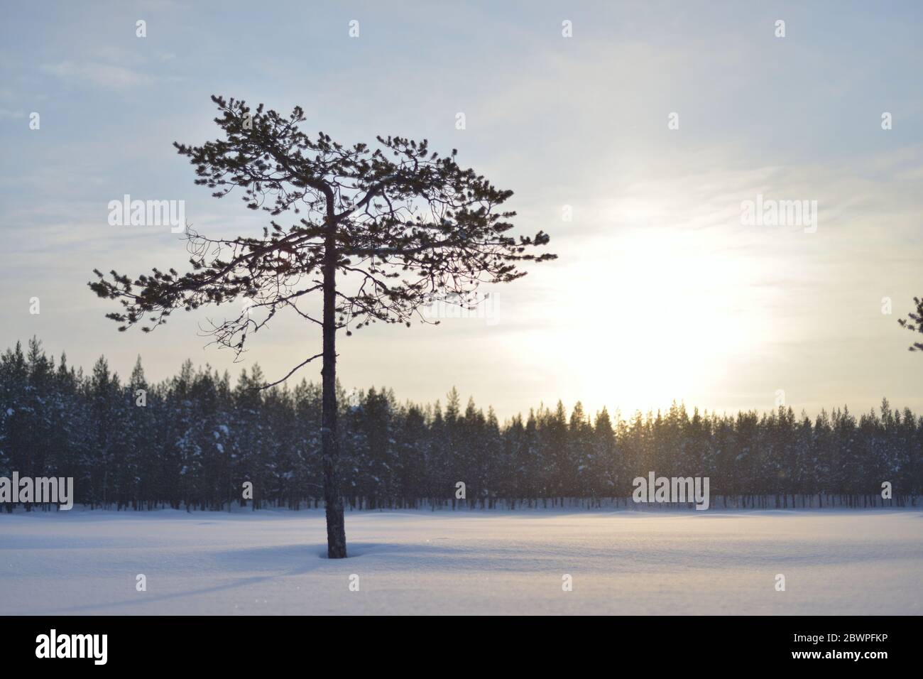 Tree line s hi-res stock photography and images - Alamy