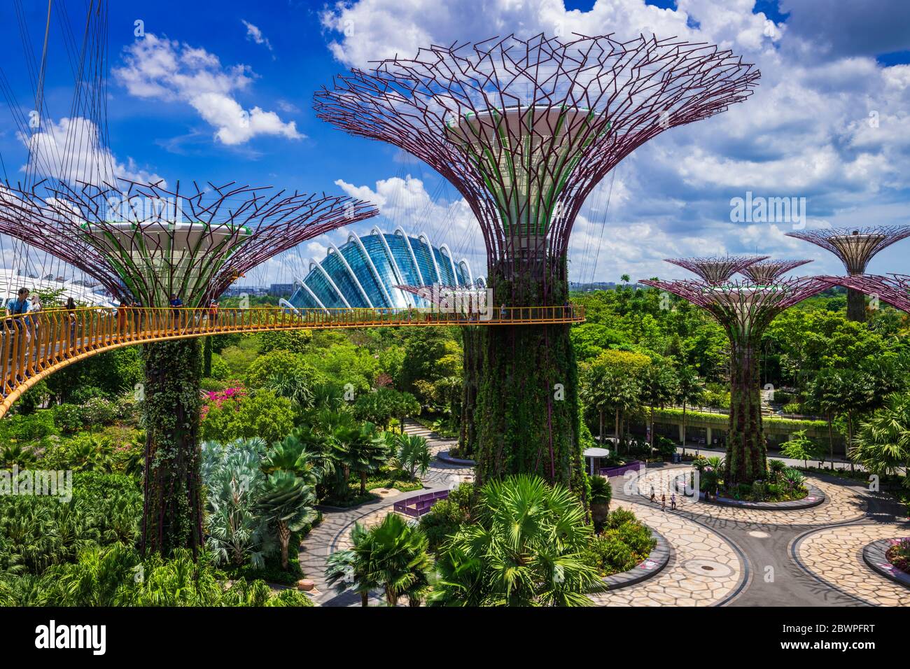 The Supertree Grove and Cloud Forest Dome from the OCBC Skyway, Gardens ...