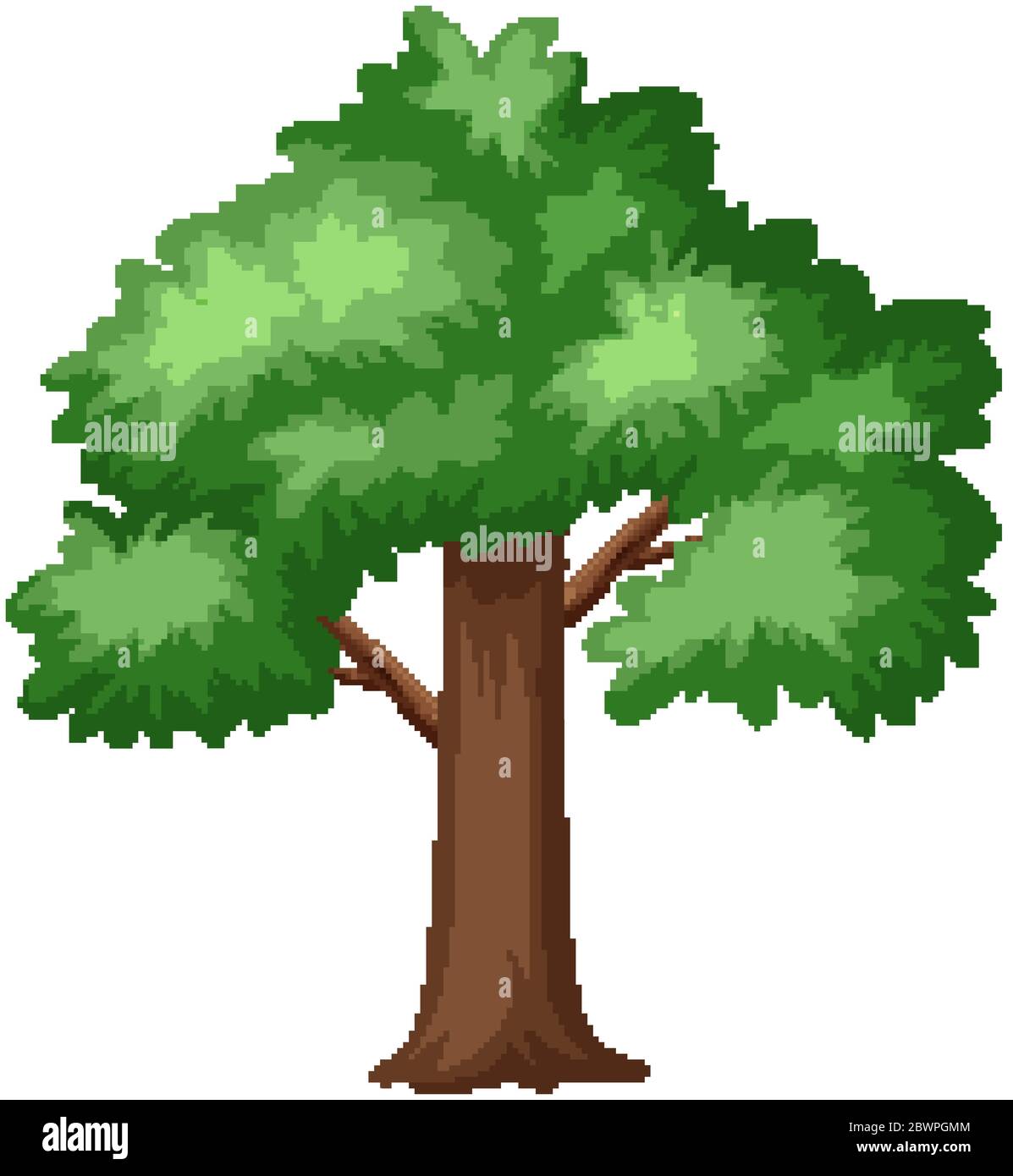 One big tree on white background illustration Stock Vector Image & Art ...