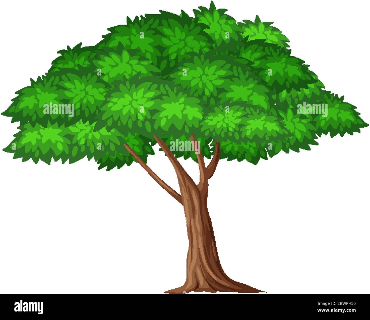 One big tree on white background illustration Stock Vector Image & Art ...