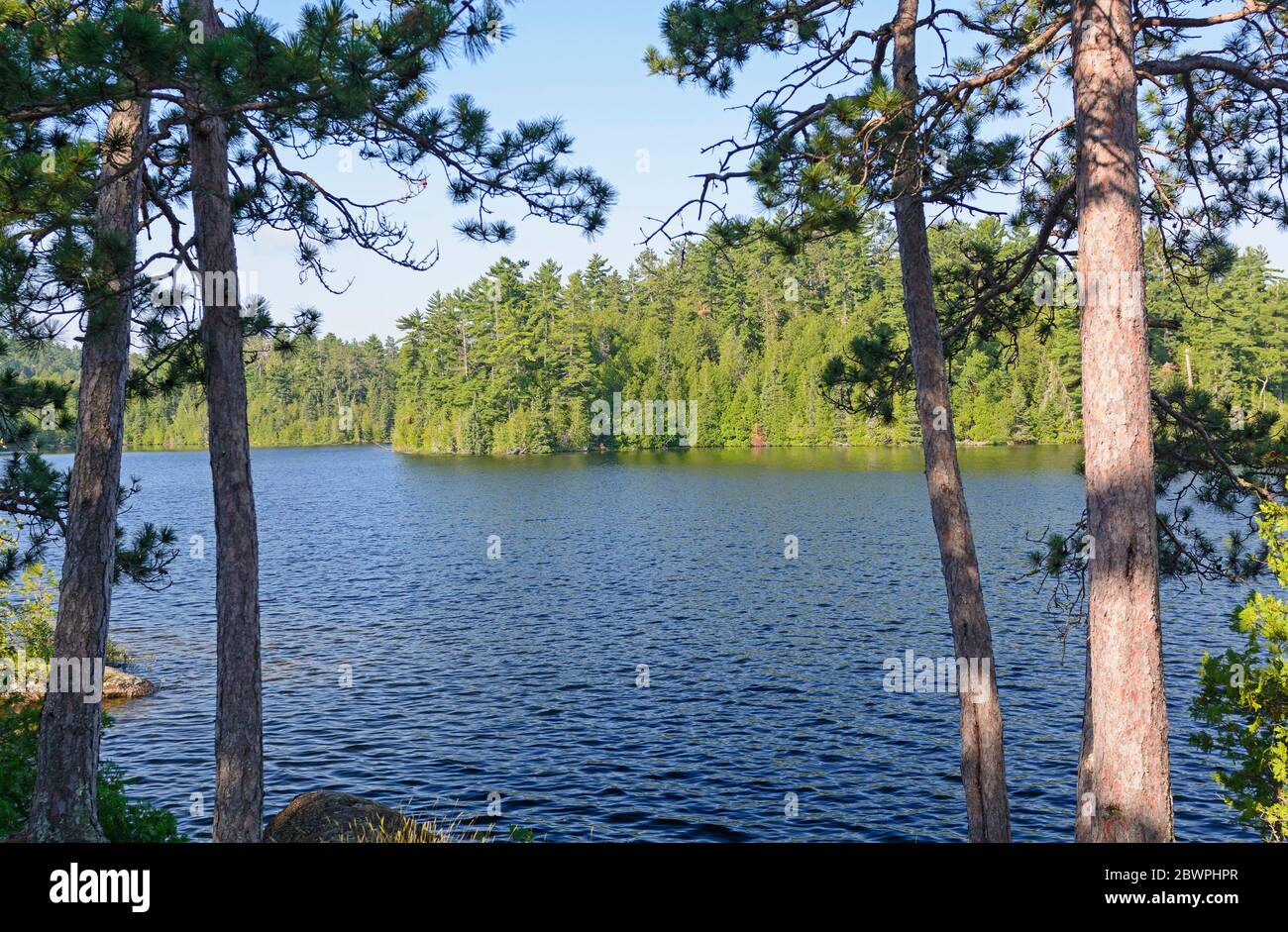 Shadows and Light in the North Woods in This Man Lake in Quetico ...