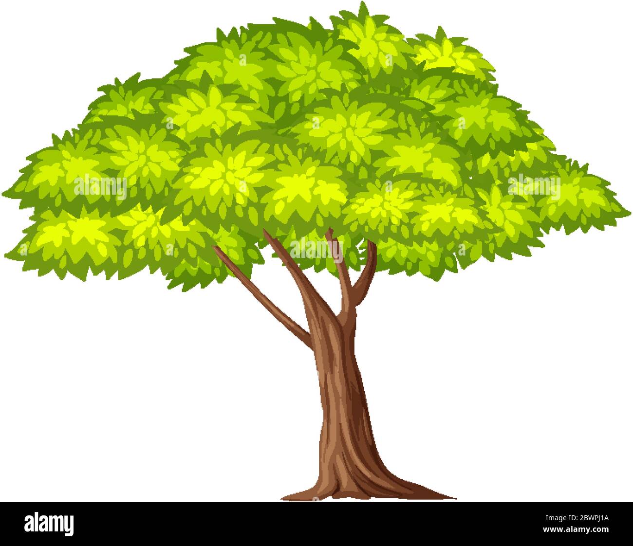 One big tree on white background illustration Stock Vector Image & Art ...