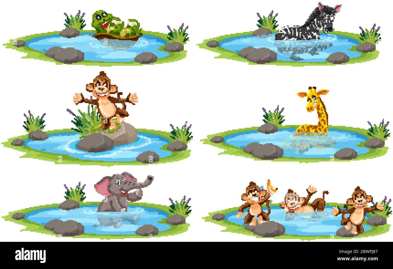 Group of wild animals in pond cartoon character on white background ...