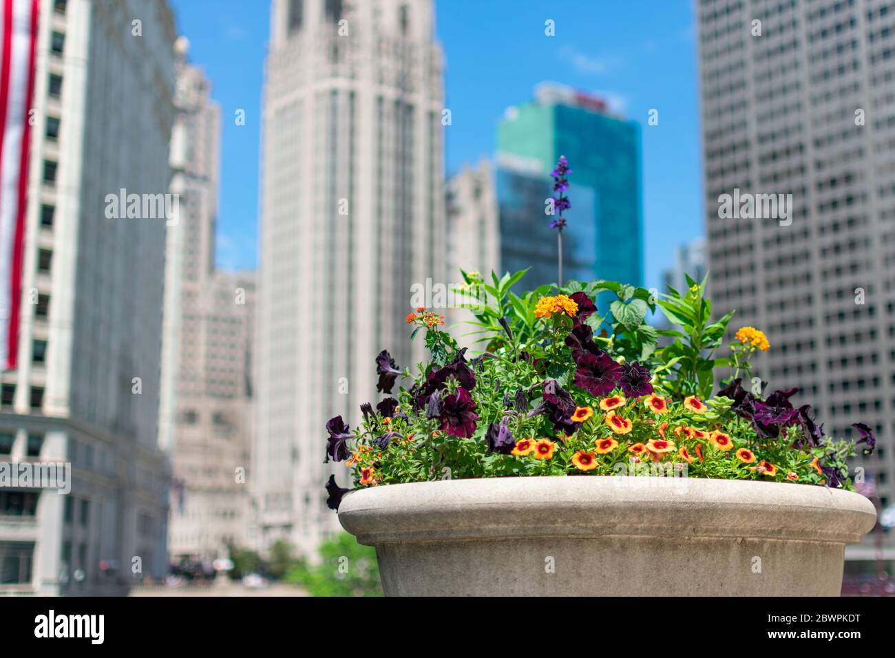 Beautiful river and flowers hi-res stock photography and images - Alamy
